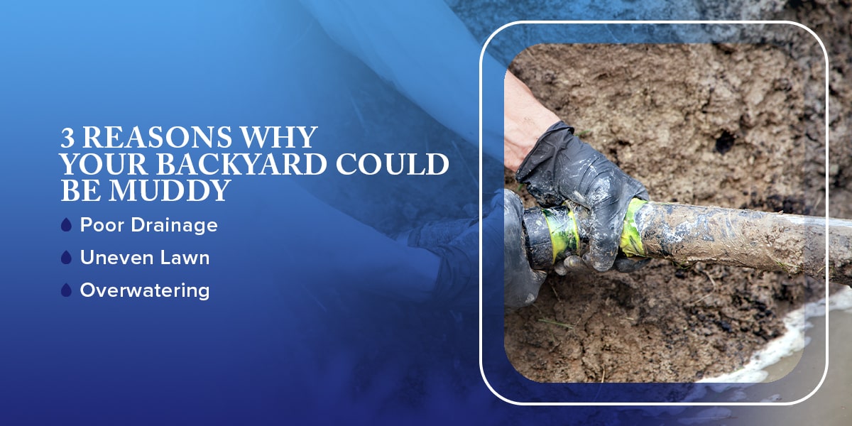 Top 3 Reasons Your Lawn is Muddy | Rain Pros