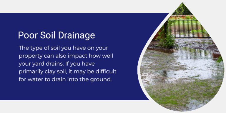 Common Drainage Problems & How to Solve Them | Rain Pros